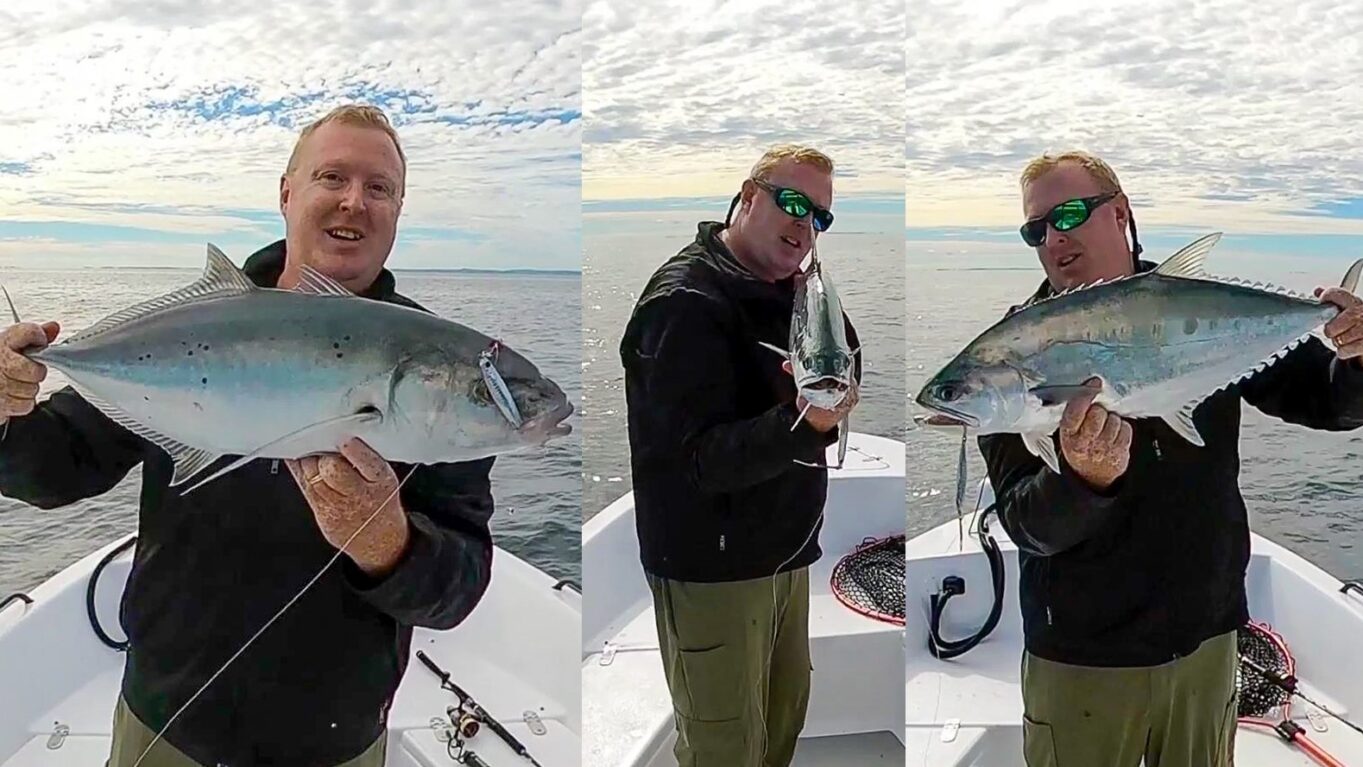 Jigging for Trevally Queenfish & Mackerel in Platypus Bay - Fishing ...