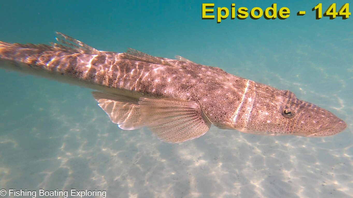 Extremely Tough Flathead Fishing After The Full Moon - FBE Australia