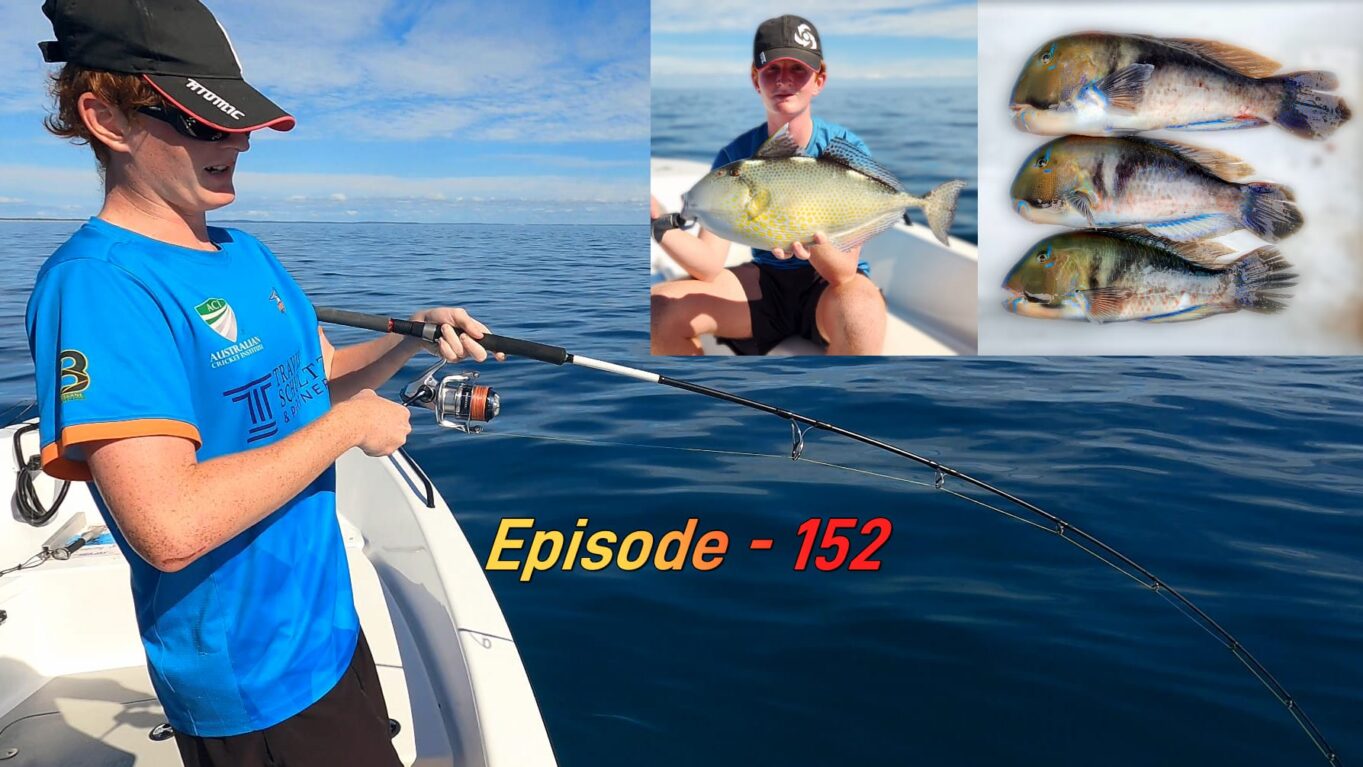 Back to Basics: Catching Fresh Bait and Tasty Fish - FBE Australia